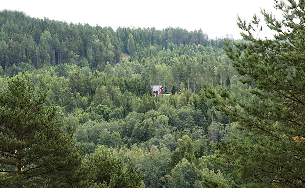 Hyr stuga i vackra Ångermanland - TORPET I SJÖ